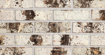 Charleston Brick | White Color With Sanded Finish | Glen-Gery