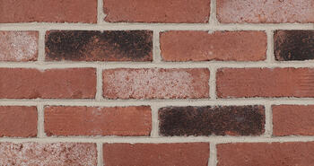 51-DDX Thin Brick | Glen-Gery