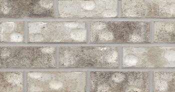 Morning Dove | Brick Catalog | Glen-Gery